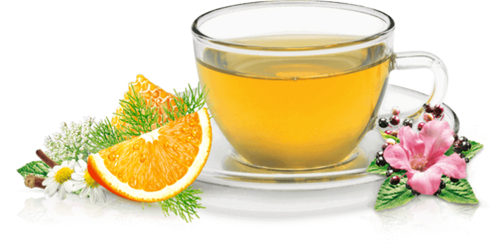 Infusiones, ¿quién puede tomarlas y quién debe evitarlas?