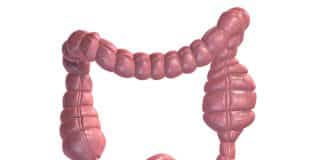 Colon irritable con diarrea: Qué lo provoca y cómo aliviar sus síntomas
