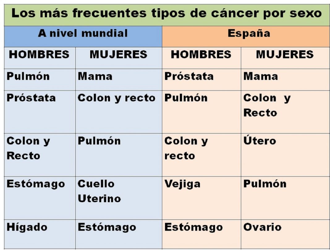 ¿Cuáles son los tipos de cáncer más frecuentes?
