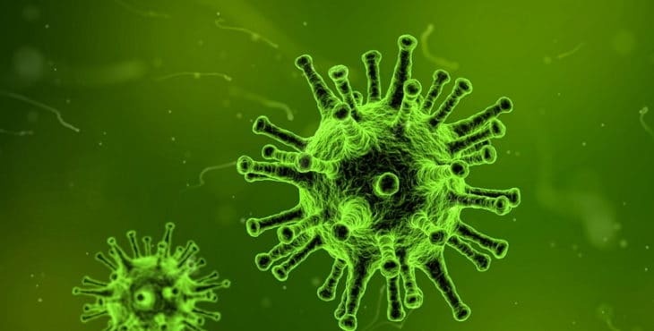 ¿Qué es un virus endémico? Toda la información que necesitas